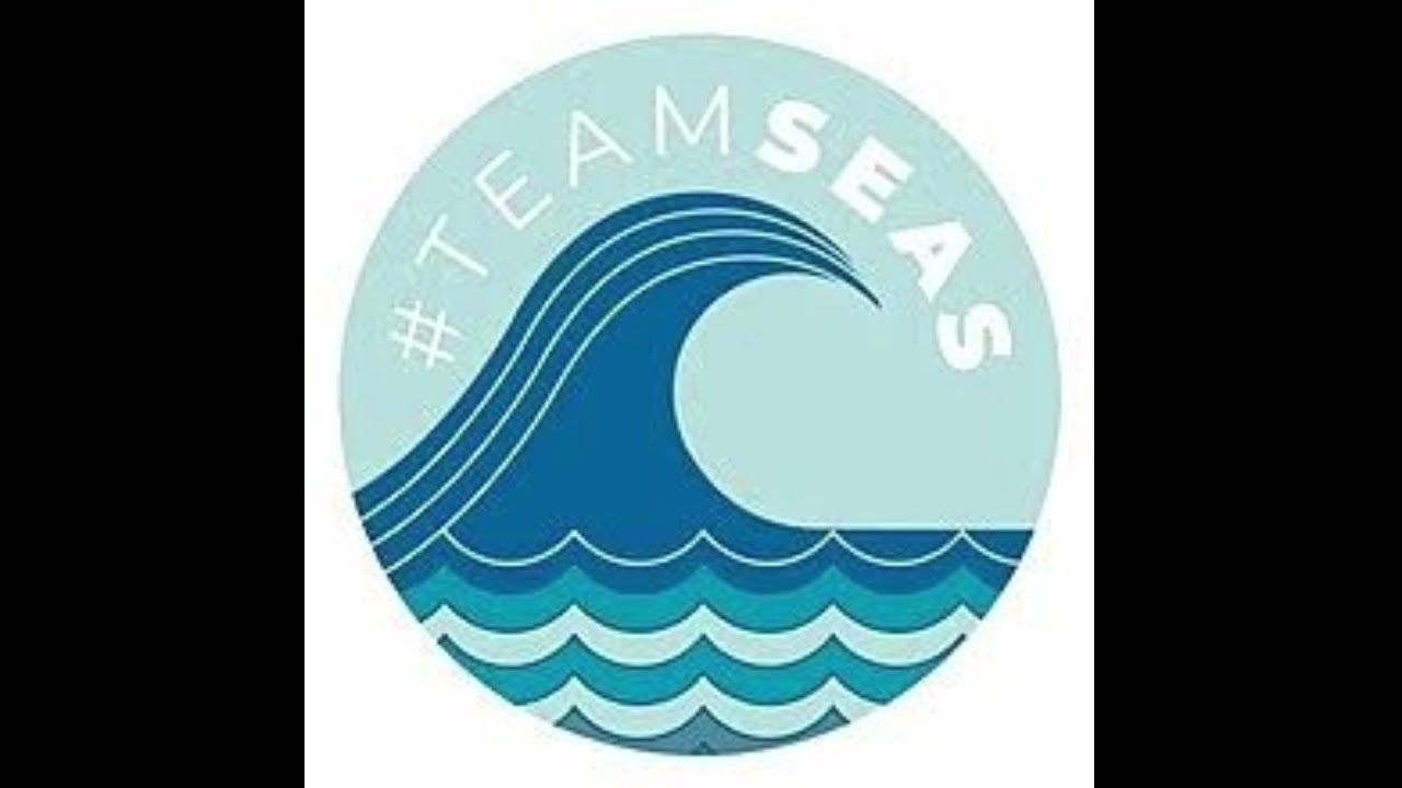 donate #teamseas - YouTube