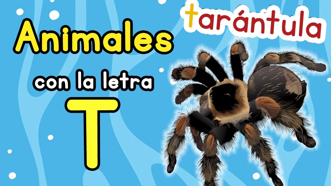 Animales Con La Letra T I ANIMALES CON T I Ejemplos de ANIMALES CON T 🐻 ...