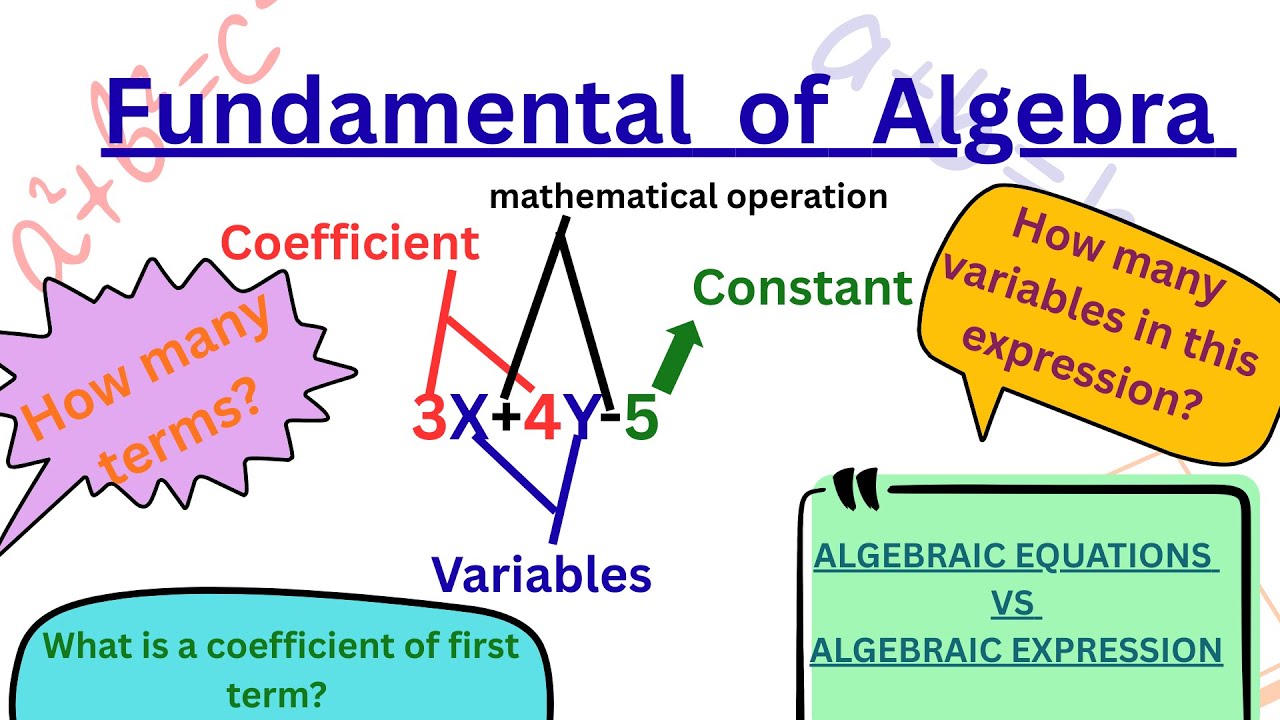 Basic algebra,what is algebraic expression and equation,terms variables ...
