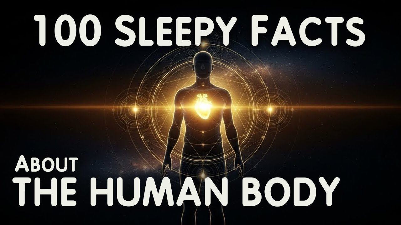 The Most Relaxing Facts About the Human Body to Fall Asleep To ...