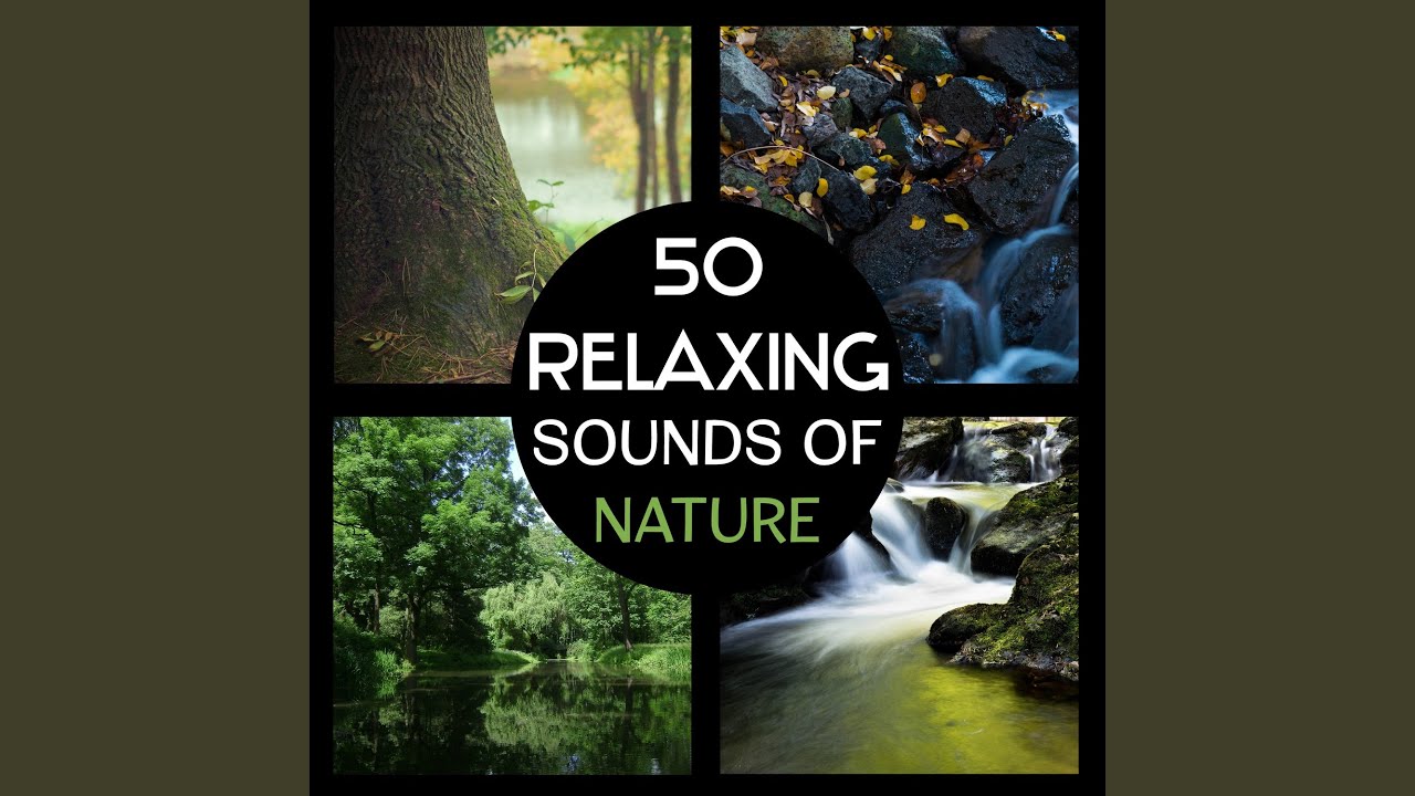 Relaxing Garden Sounds - YouTube