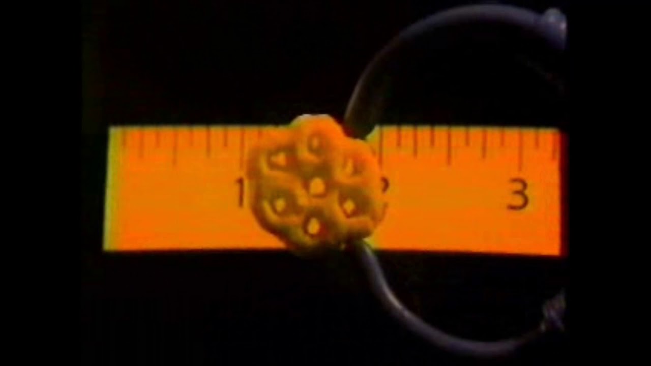 80's "Honeycomb" Cereal Commercial w/ Andre The Giant - YouTube