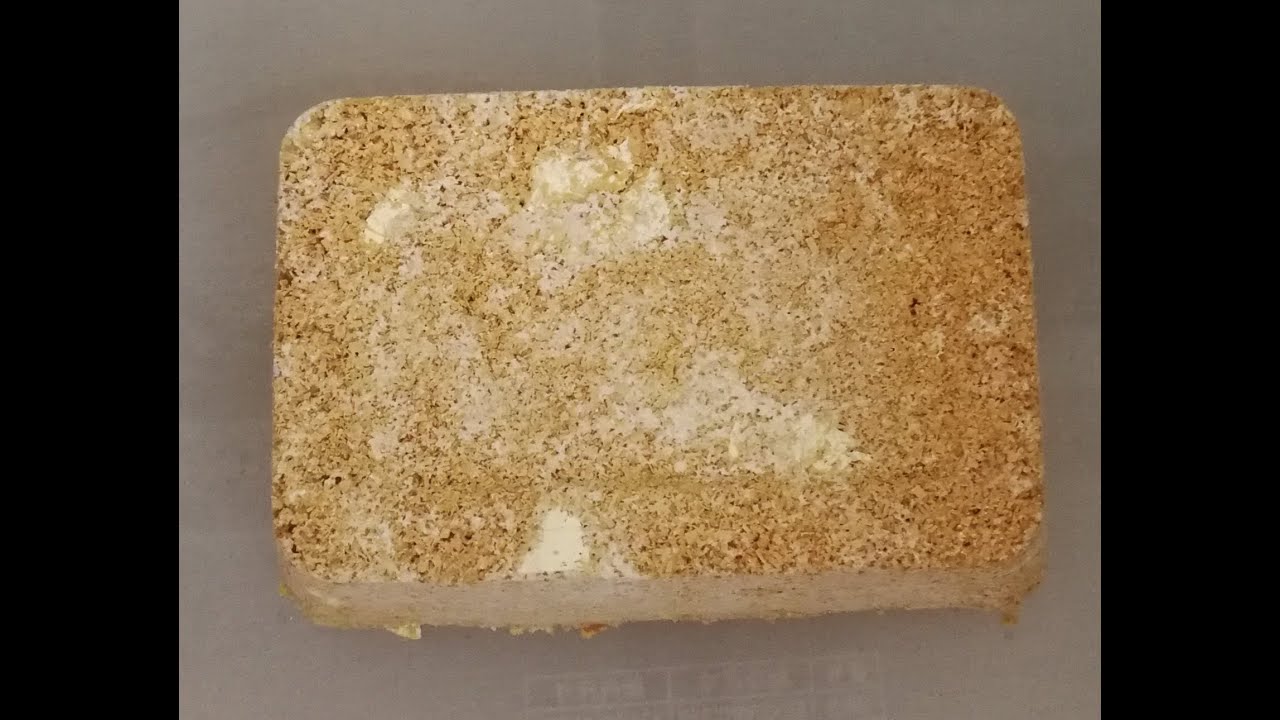 Mycelium Brick Made in Singapore - YouTube