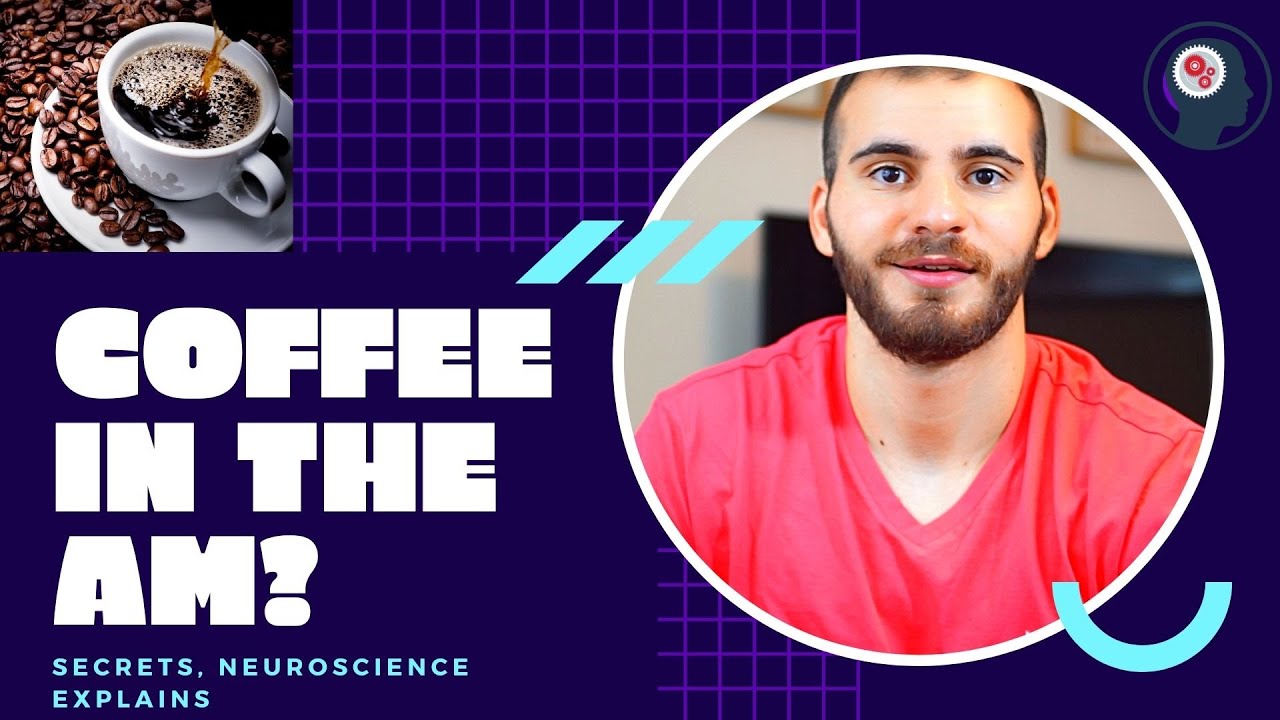 Neuroscience Explains For Best Coffee Time | Coffee schedule For ...