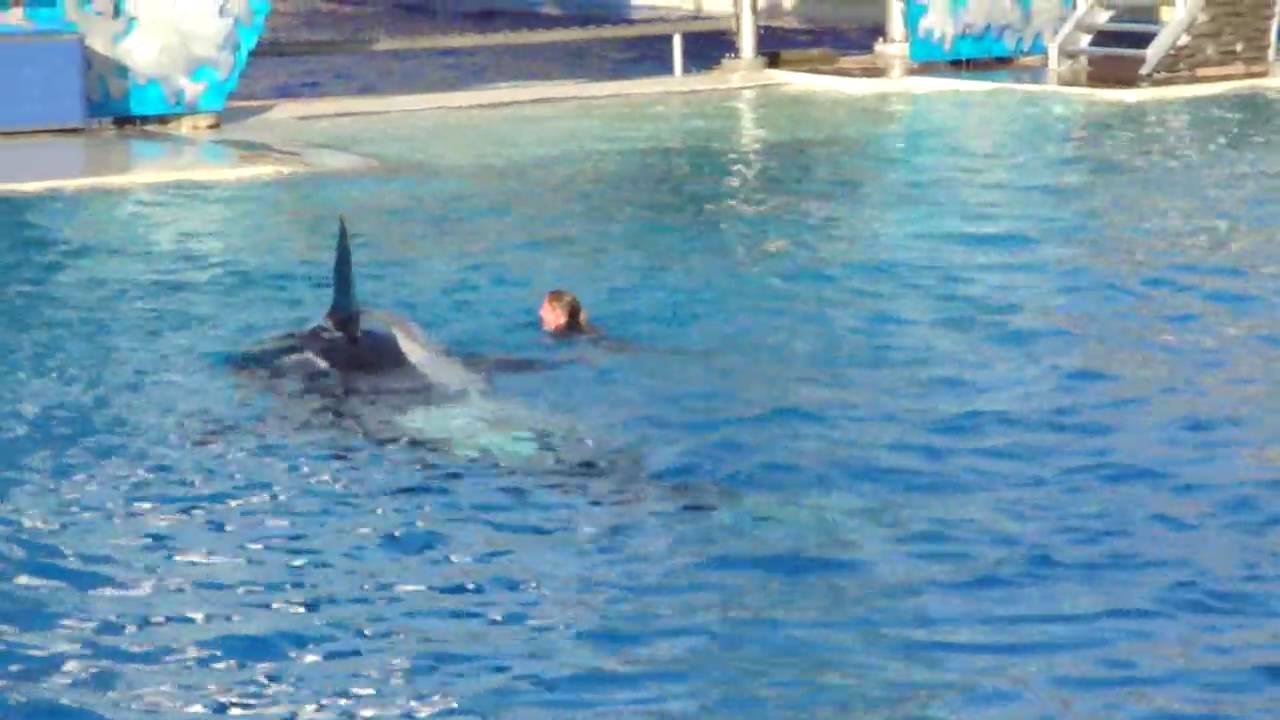 caitlin amelia-seaworld 2009 - YouTube