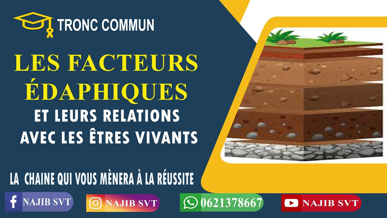 Les facteurs édaphiques :Caractéristiques physiques et chimiques du sol ...