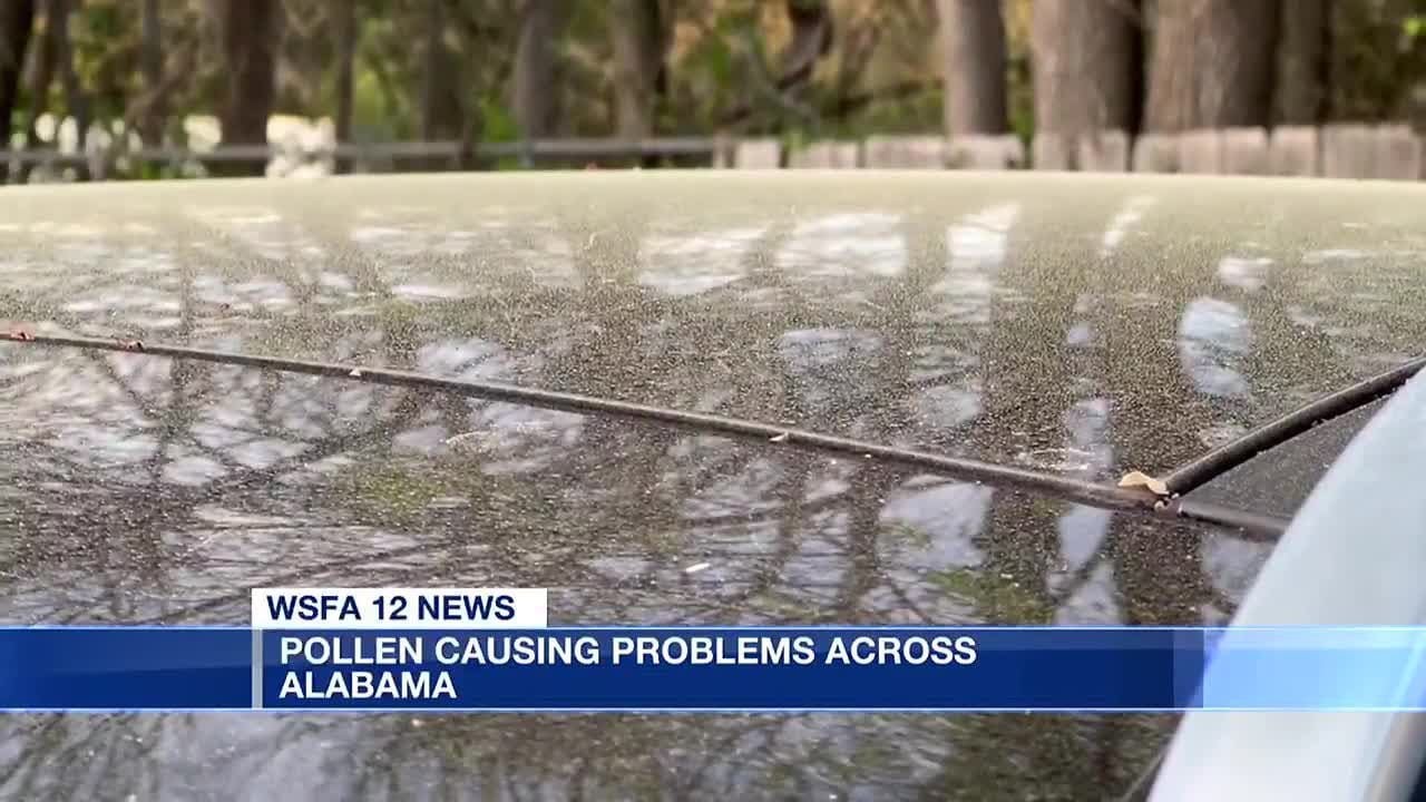 Pollen already causing problems across Alabama - YouTube