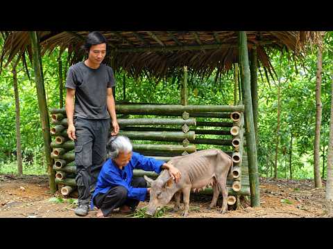 She Didn’t Want to Depend on Me – Grandma Asked for a Pig of Her Own