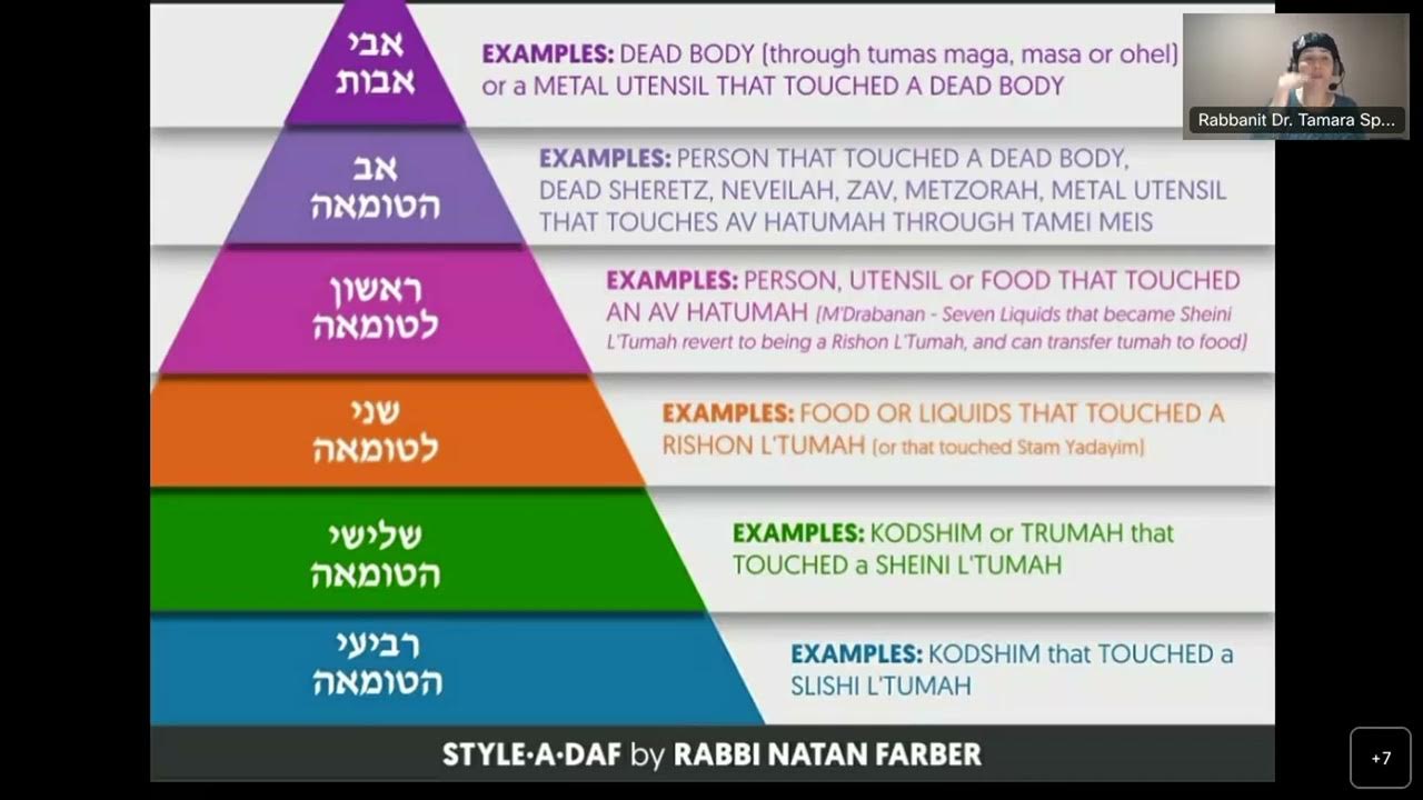 Sotah: 29-34 - Daf Yomi One Week at a Time with Rabbanit Dr. Tamara Spitz - YouTube