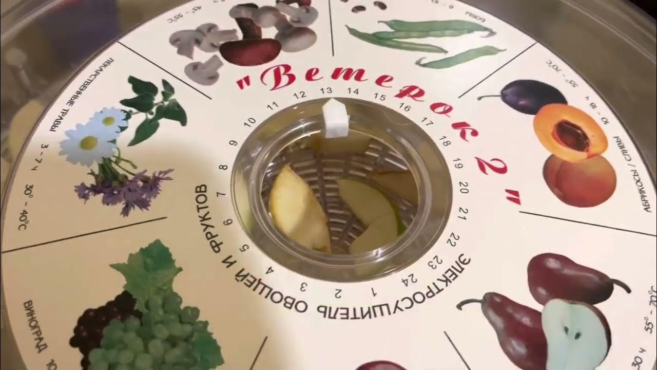 Сушилка для овощей и фруктов Ветерок -2 с поддоном для пастилы. Первое ...