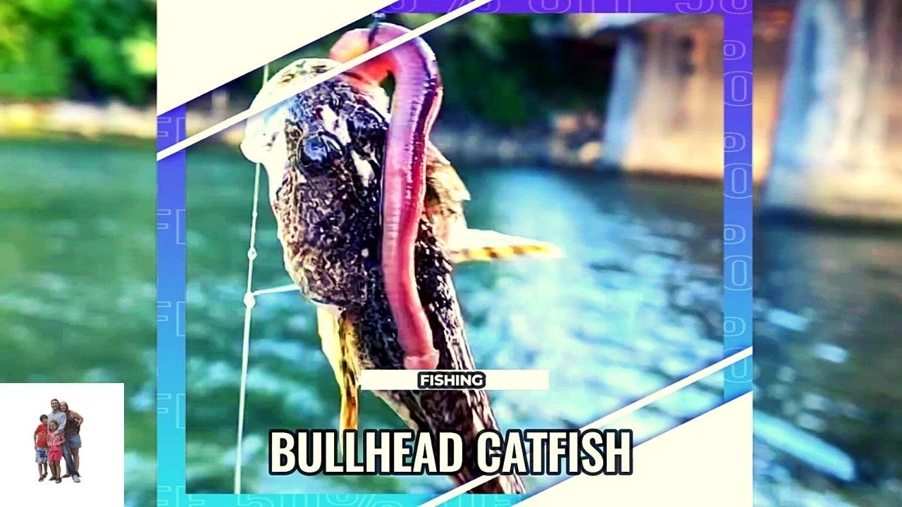 Johnny having fun fishing little Bullhead Catfish in Lincoln City ...