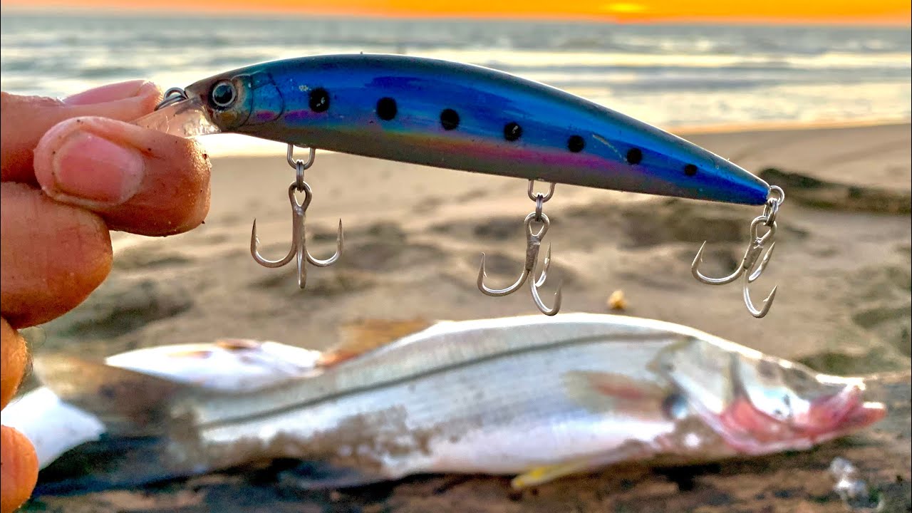 COMO pescar RÓBALOS de ORILLA con SEÑUELOS || pesca de ORILLA. - YouTube