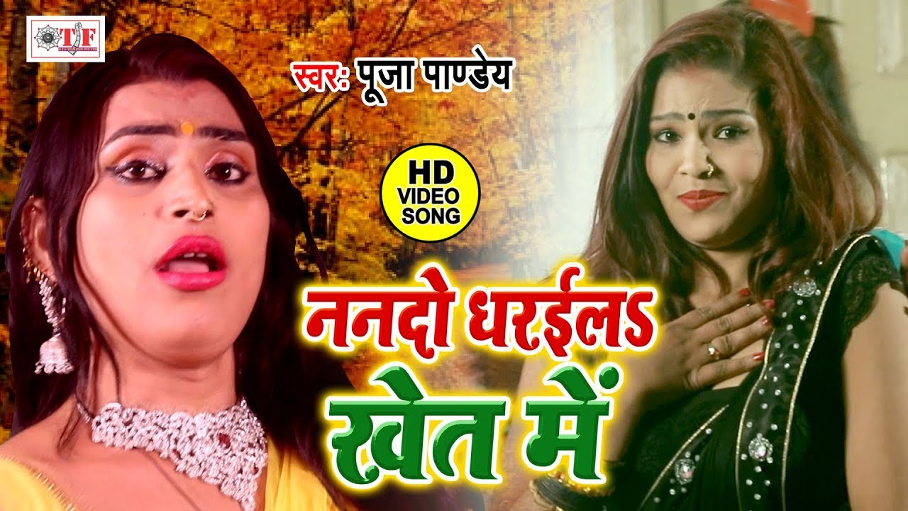 Pooja Pandey का का नया Bhojpuri VIDEO SONG | नन्दो धरईलू खेत में_Nando ...