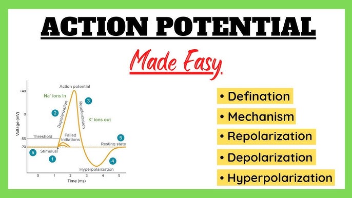 Depolarization Graph