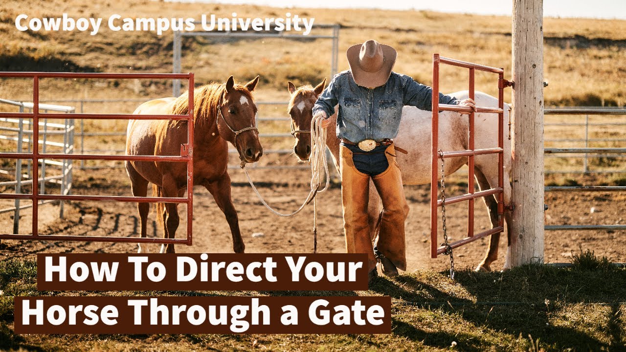 How To Direct Your Horse Through a Gate With a Lead Or Mecate - YouTube