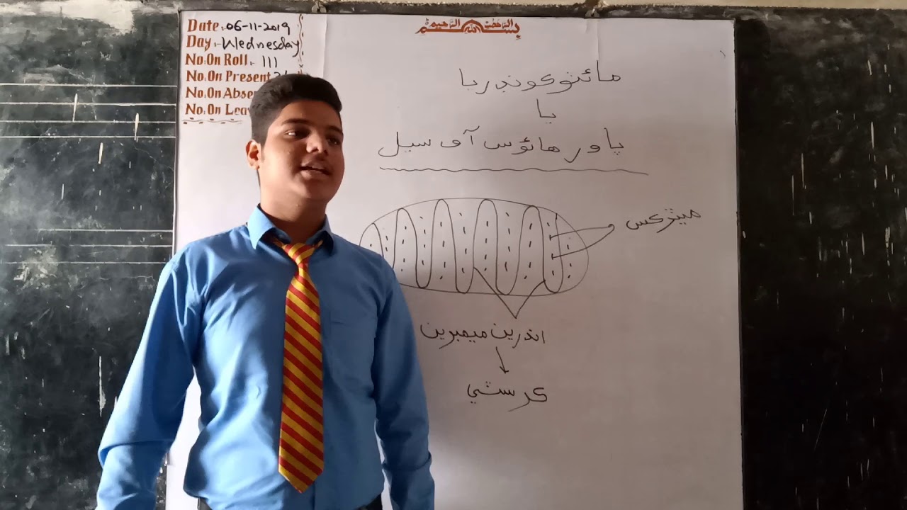 Muhammad Bux Shaikh student of class IX A delivered the lecture on the ...