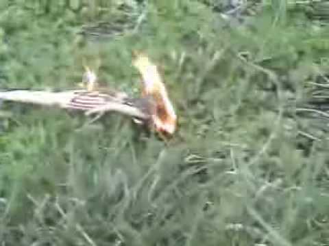 burning barbie - YouTube