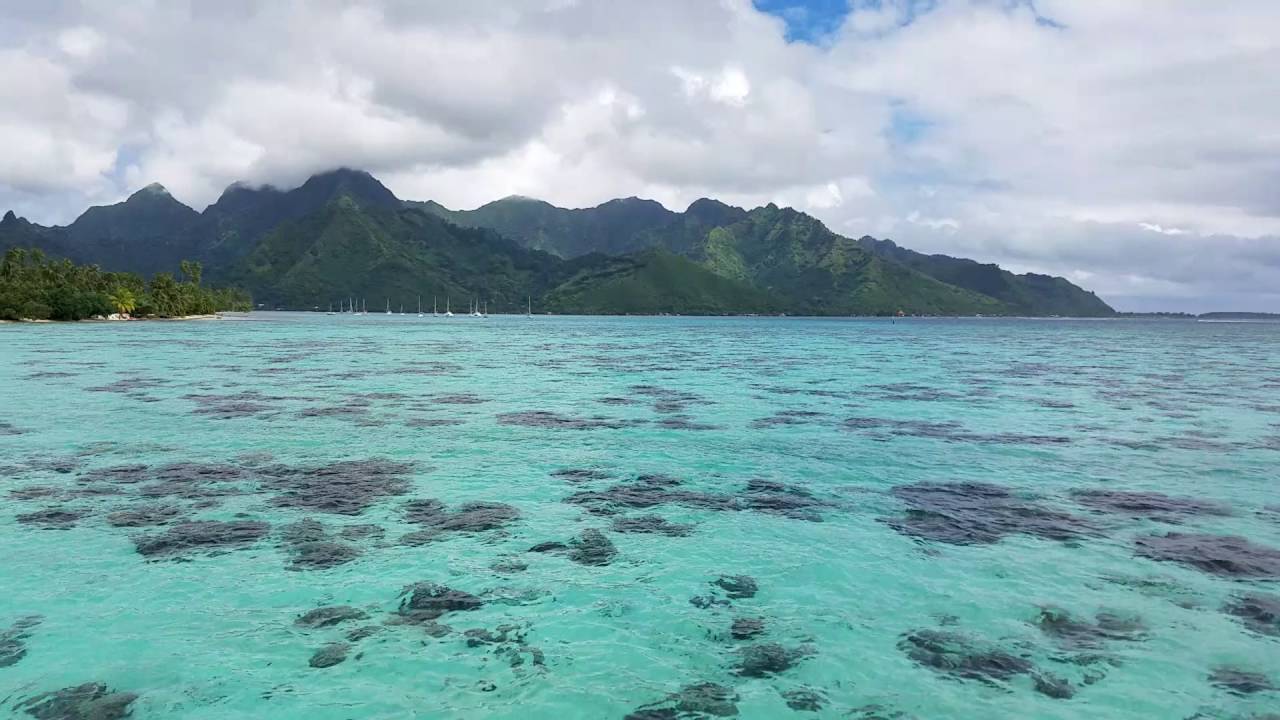 Our Panoramic Overwater Bungalow at Hilton Moorea - YouTube