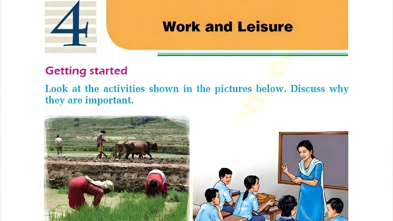 Cabbage White Grammar Exercise | Unit 4 Work and Leisure | English ...