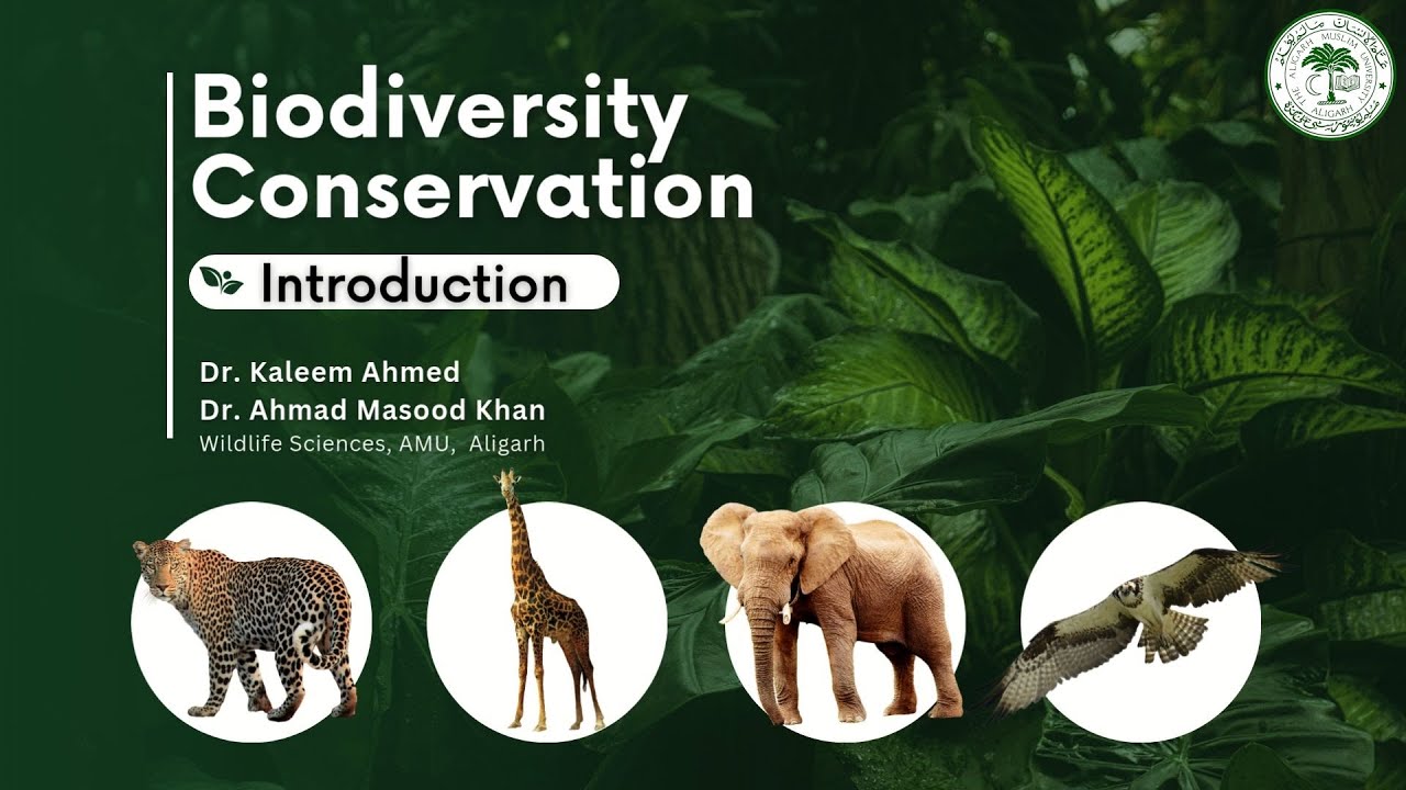 Biodiversity Conservation || Introduction - YouTube