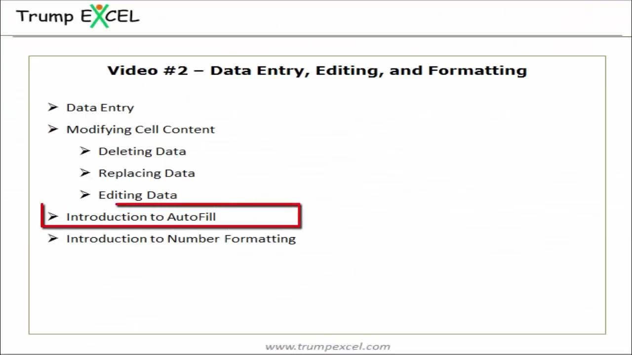 Lesson 2 Data Entry Editing and Number Formatting - YouTube