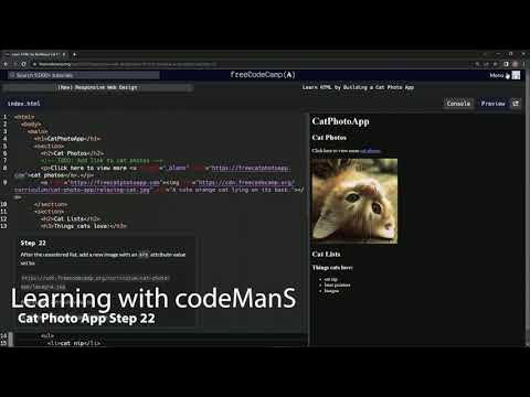 Learn HTML by Building a Cat Photo App - Step 22 - YouTube