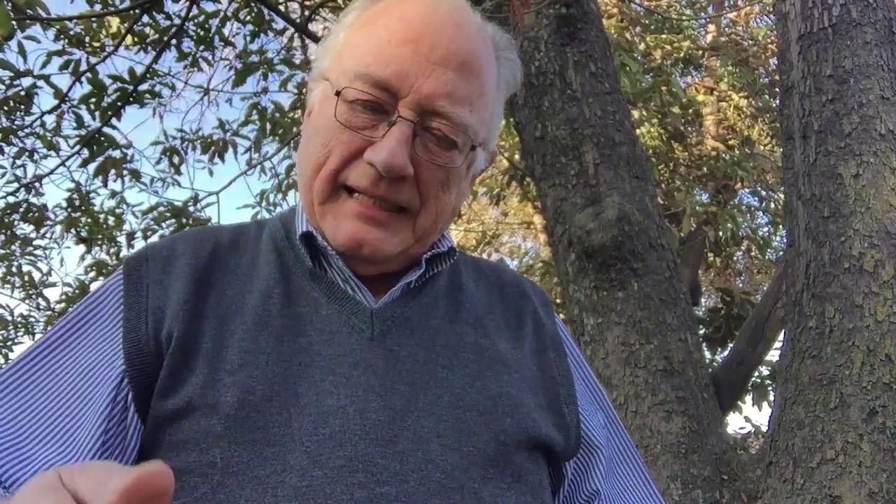 Reflexión Miércoles 20 Mayo 2020 - YouTube