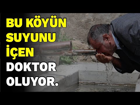 Bu köyün suyunu içen doktor oluyor.