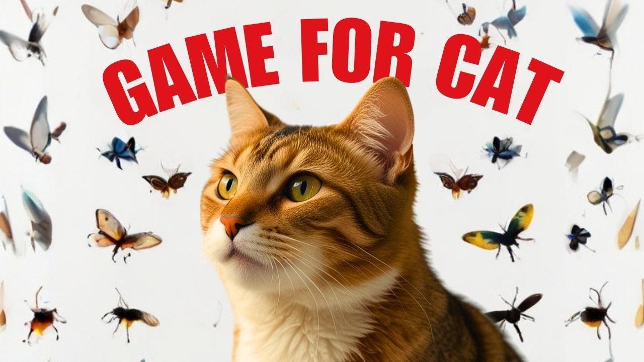 GAME FOR CATS - Fun-Filled Interactive Cat Games On Screen - Videos For ...