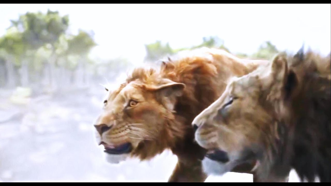 Outsiders Hunting Mufasa and Taka Scene || Mufasa-The Lion King - YouTube