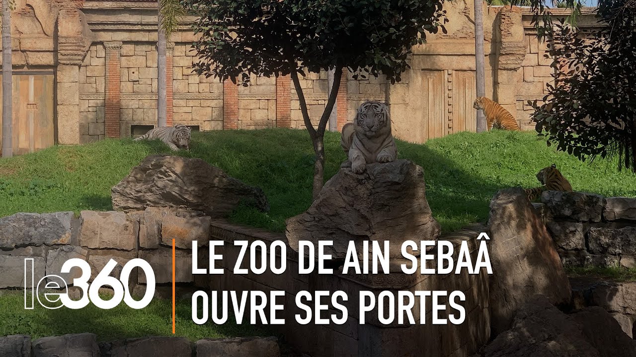 Casablanca: immersion au cœur du zoo de Ain Sebaâ enfin ouvert au ...