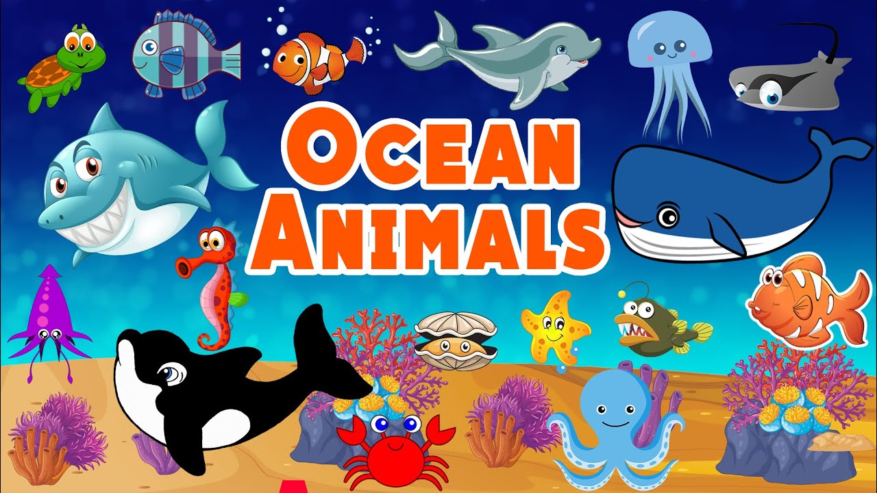 Ocean Animals Song | Nursery Rhymes & Kids Videos | LittleKidsTV - YouTube