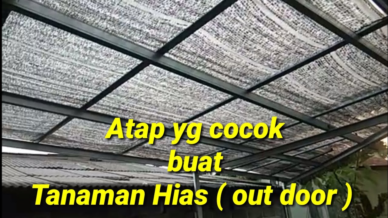 Atap yg cocok buat tanaman hias - YouTube