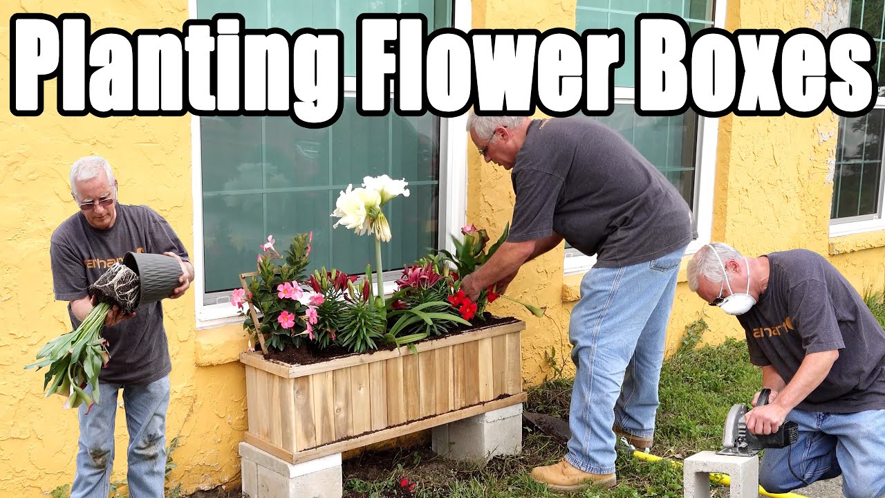 Planting a Window Flower Box - How to Add a Flower Box to a Window ...