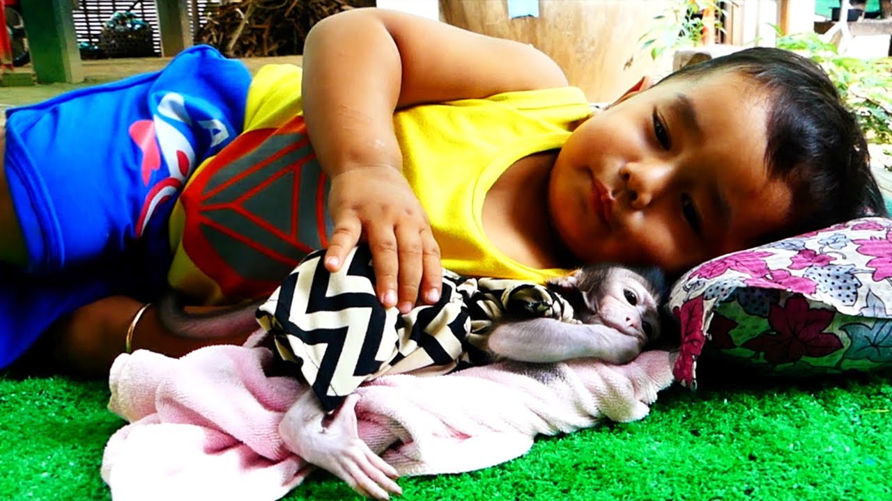 Adorable Baby Momo, after drinking, sleeps with her brother - because ...