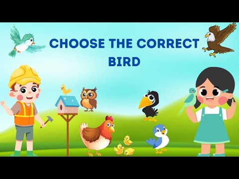 Choose the correct Bird|Learn birds names|kidsvideo|Jan 24 #birds# ...