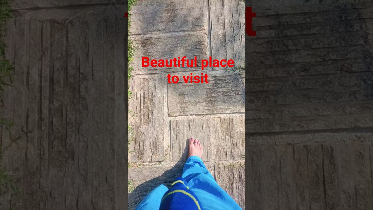 Tanima farm Life excellent place to visit.. - YouTube