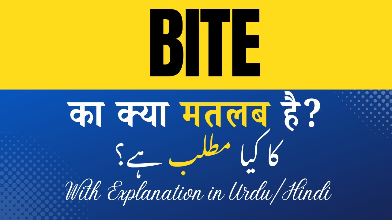 Bite Meaning in Hindi |Bite Ka Kya Matlab Hota Hai' Hindi/Urdu ...