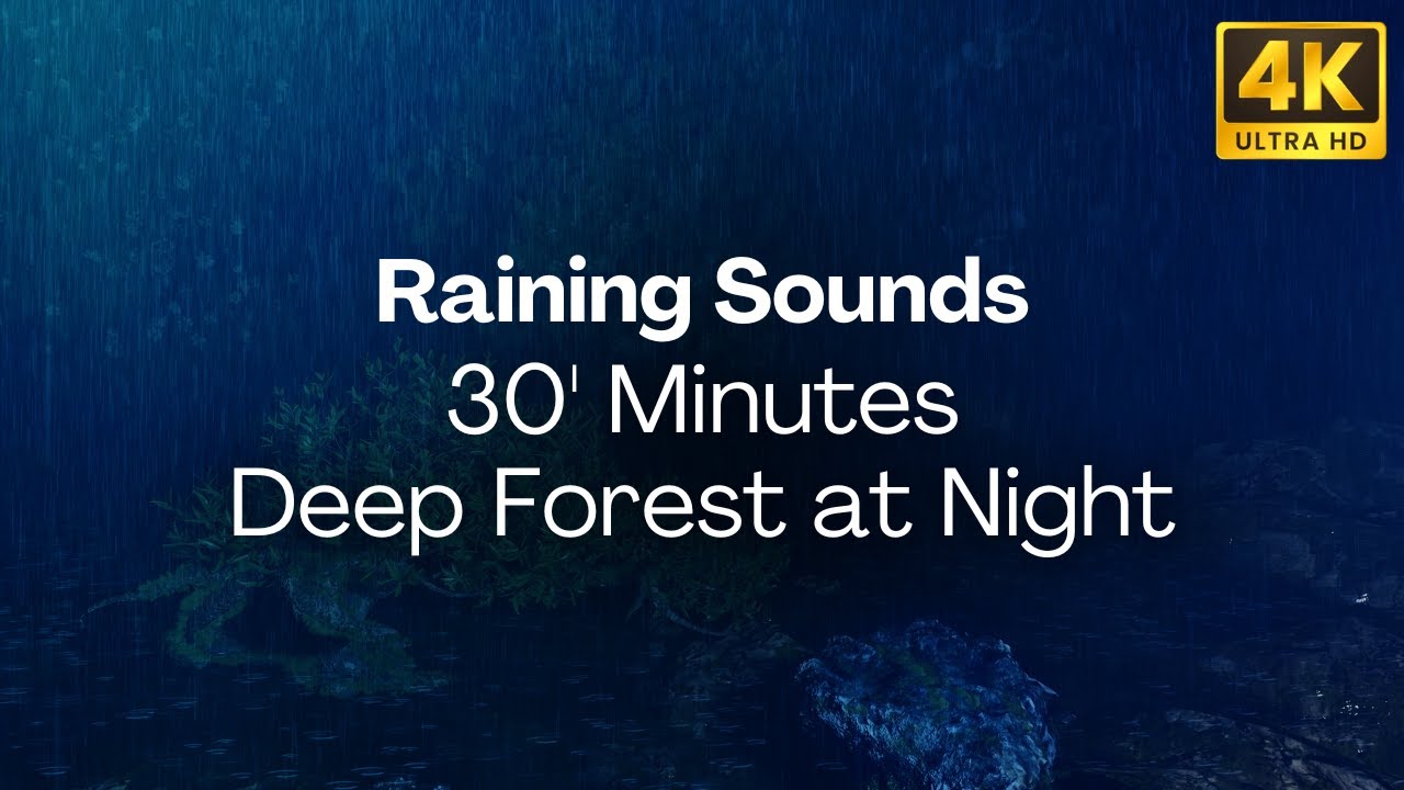 4K Raining Sounds - 30' Minutes Deep Forest at Night - YouTube