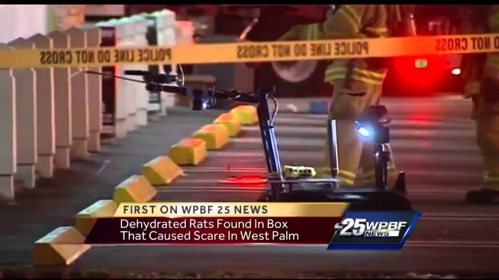 Dead rats lead to hazmat investigation - YouTube