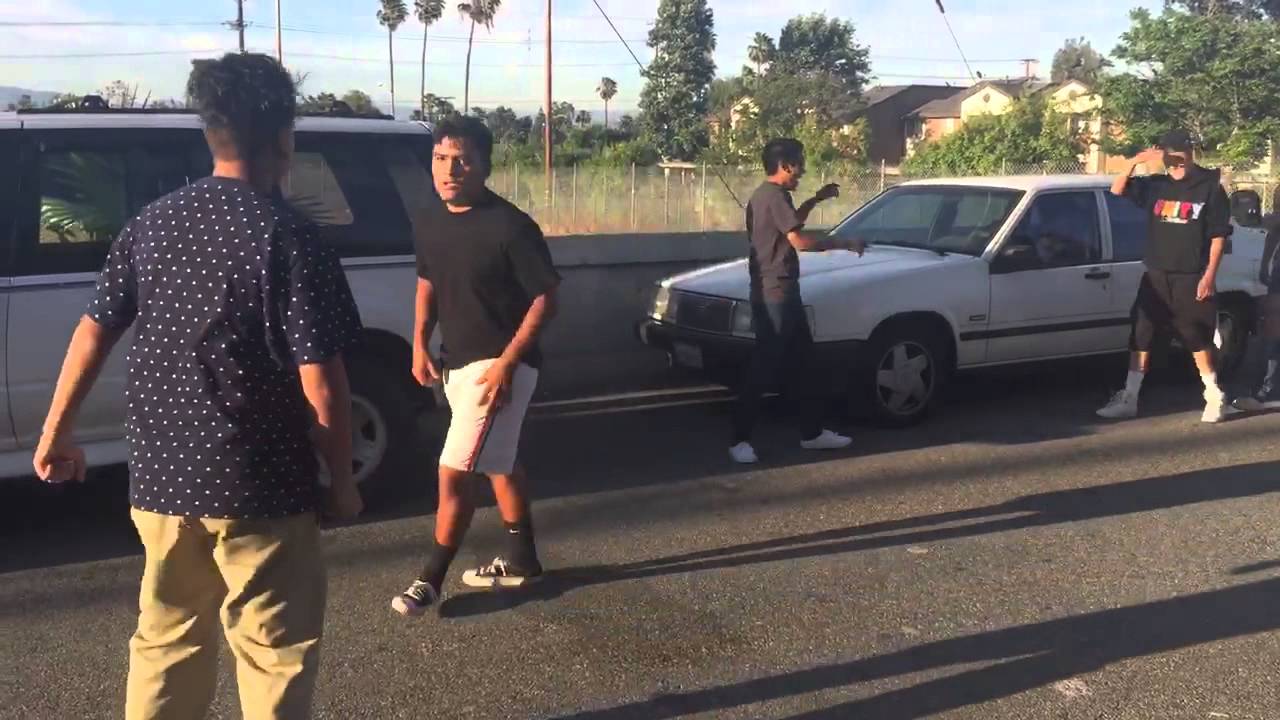 951 fights - YouTube