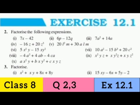 "Class 8 Maths | Q 2,3 Ex 12.1 | Chapter 12 Factorisation" - YouTube