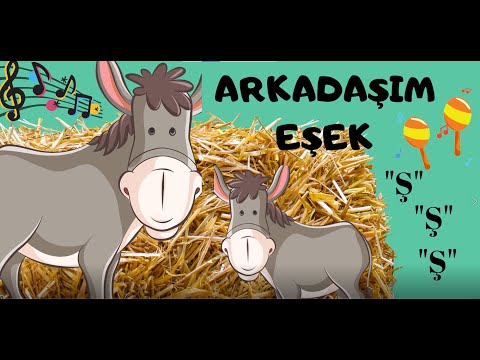 ARKADAŞIM EŞEK ŞARKISI (ANİMASYONLU)/Ş HARFİ EĞİTİMİ İLKOKUL