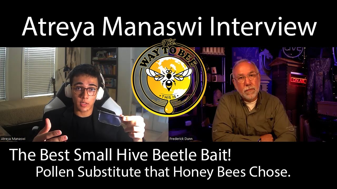 An Interview with Atreya Manaswi, an up and coming Honey Bee Researcher ...
