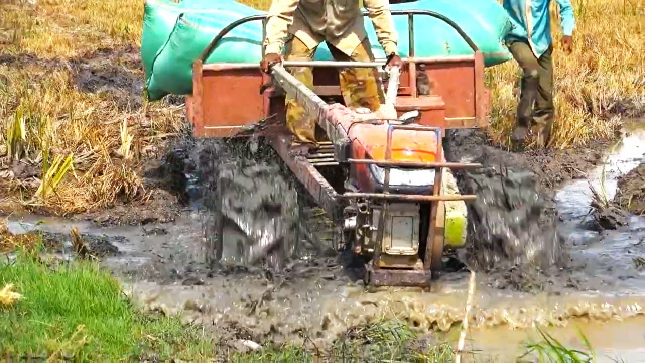 Miniature tractor transport rice throw deep in mud l Nice machine ...