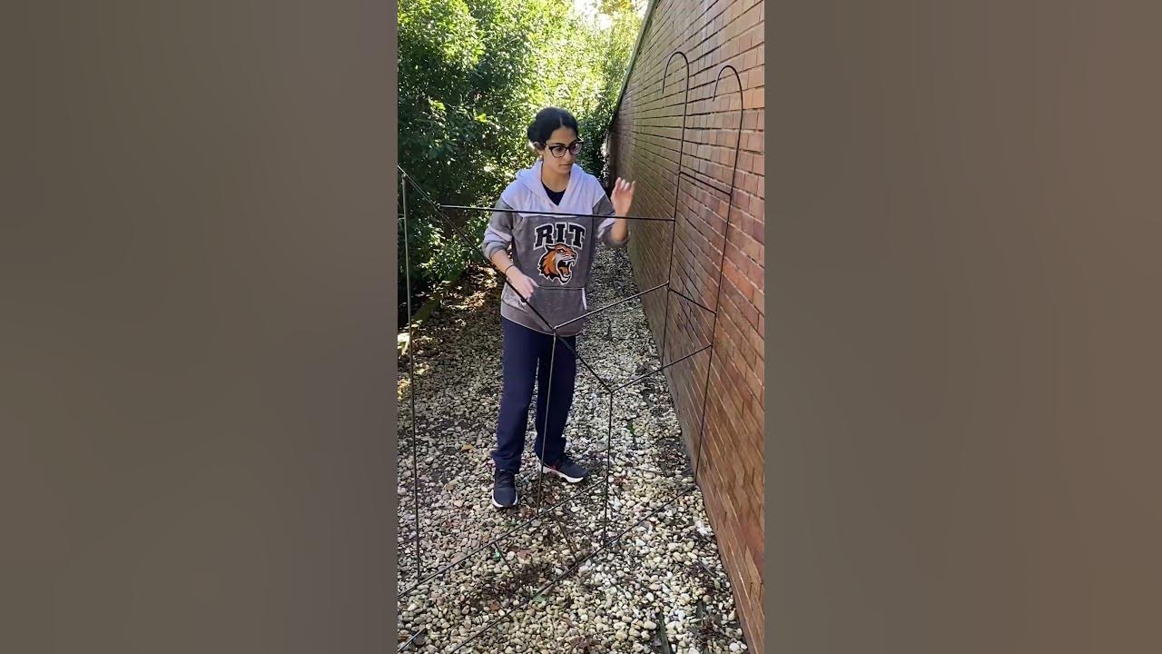 Intro to Sculpture - Fall 2024 - YouTube