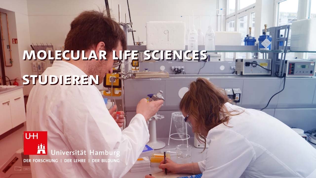 Molecular Life Sciences an der Universität Hamburg – Teil 1 - YouTube
