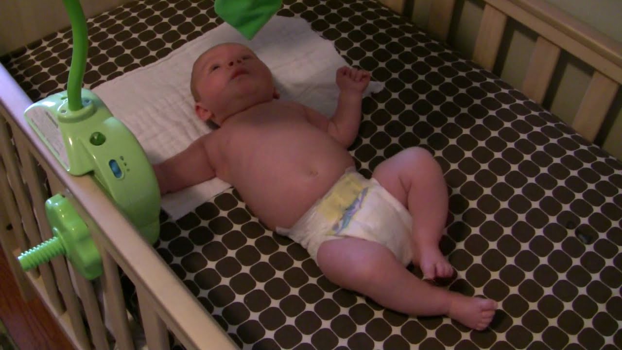 Callum Belly Out 00069 - YouTube