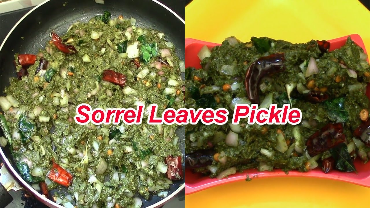 Sorrel Leaves Pickle Recipe | Food Factory - YouTube