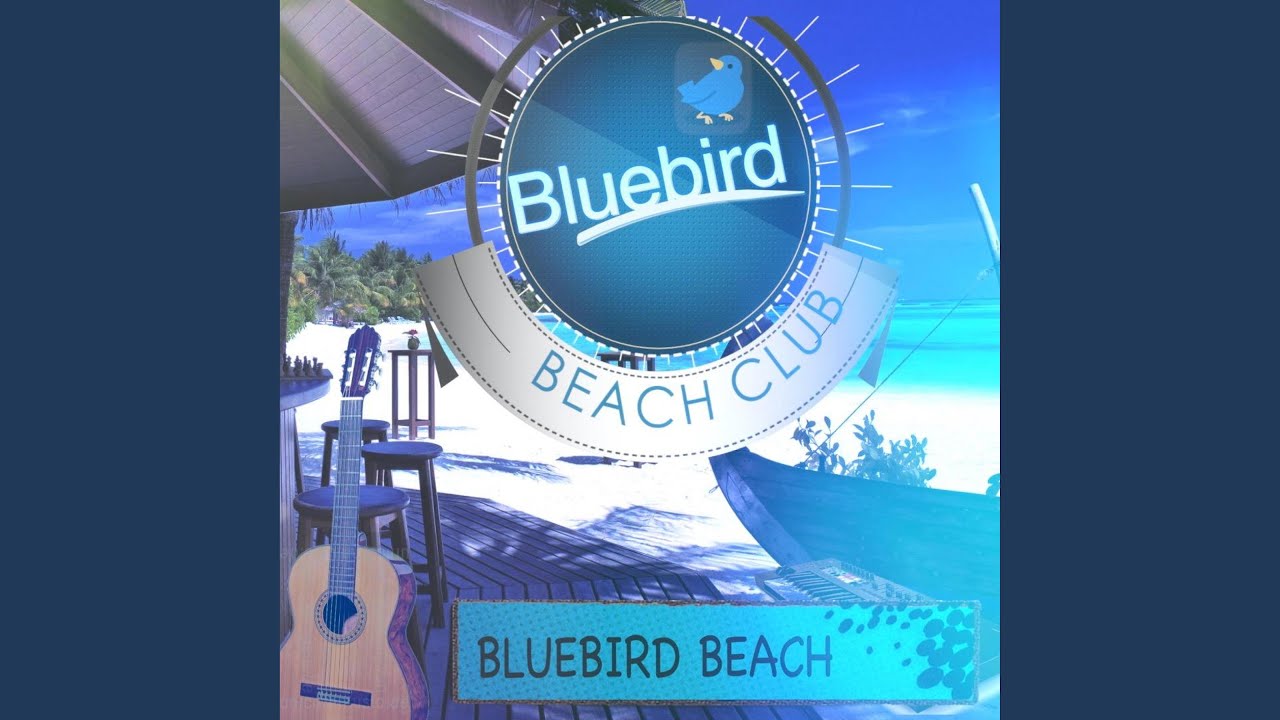 Bluebird Beach - YouTube